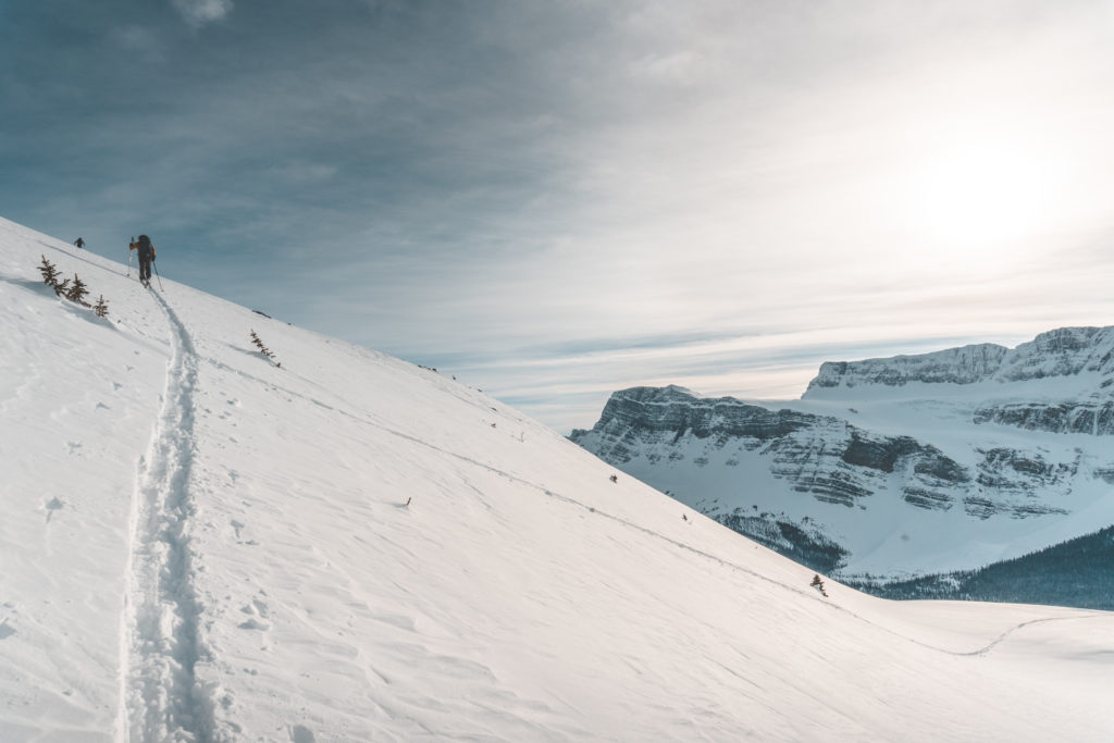 Crystal Ridge Ski Touring | Alpine Journals