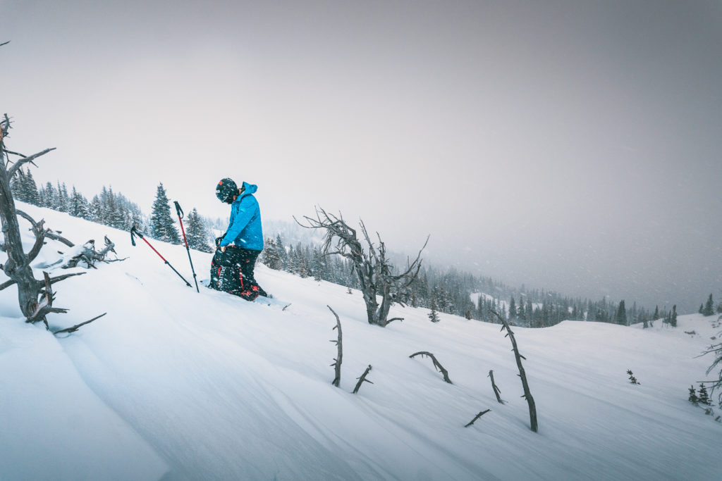 Helen Shoulder Ski Touring | Alpine Journals